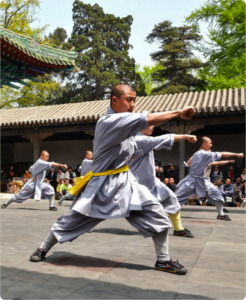 Home - Alpine Shaolin